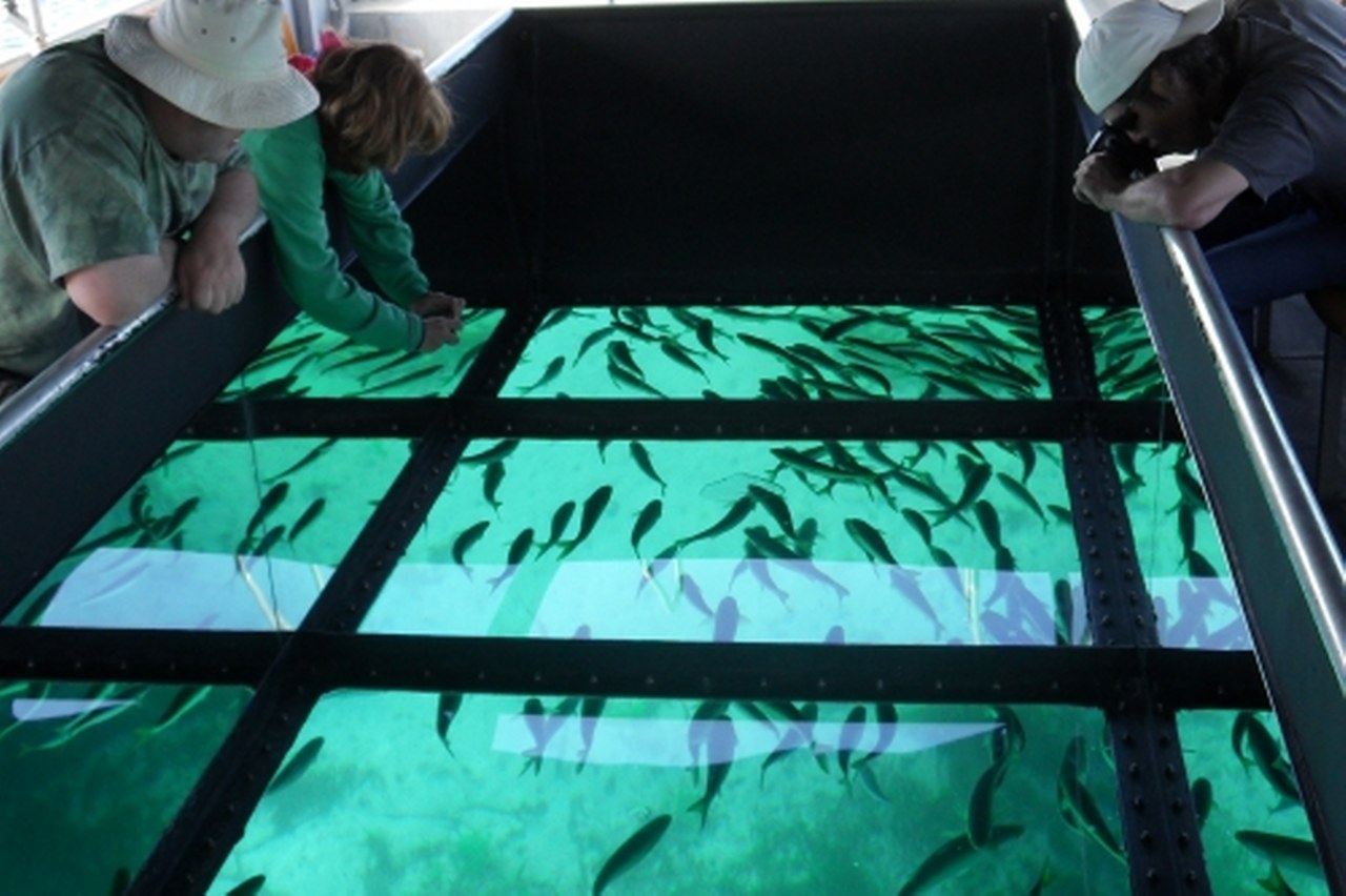 Underwater windows: innovative applications on boats and ships